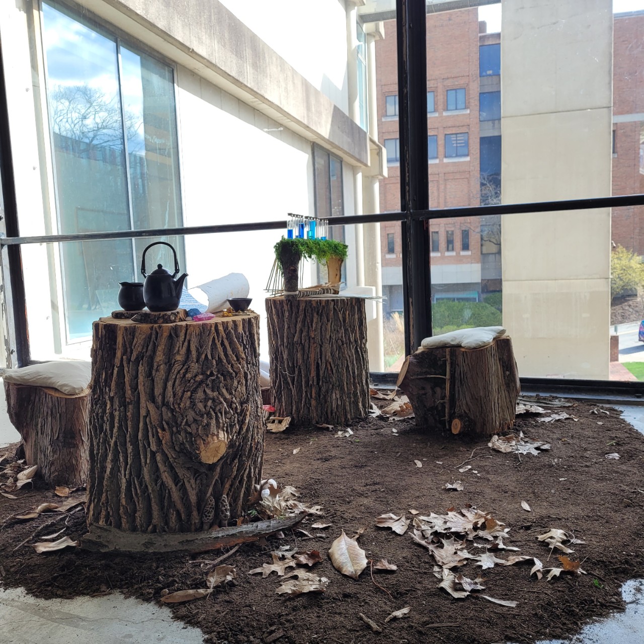 Student Exhibits - College of Design, Architecture, Art, and Planning ...