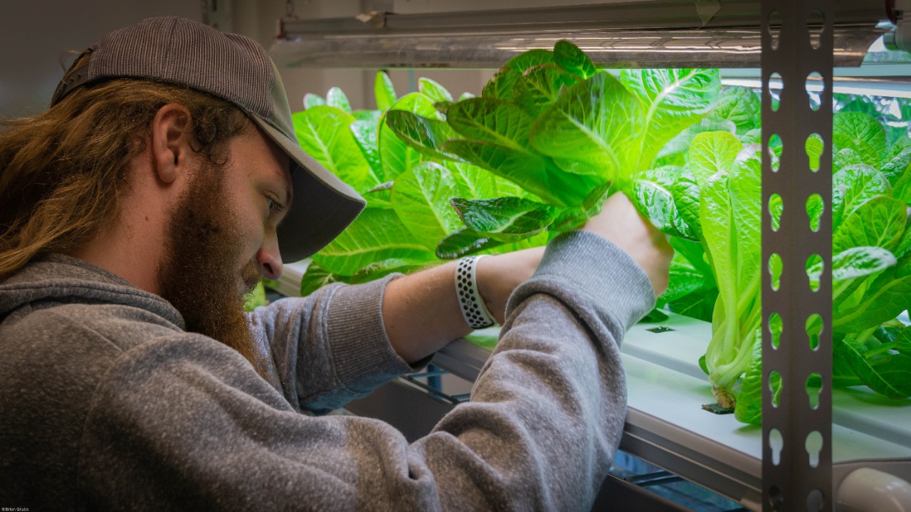Bachelor of Science - Horticulture - Horticulture | University of ...