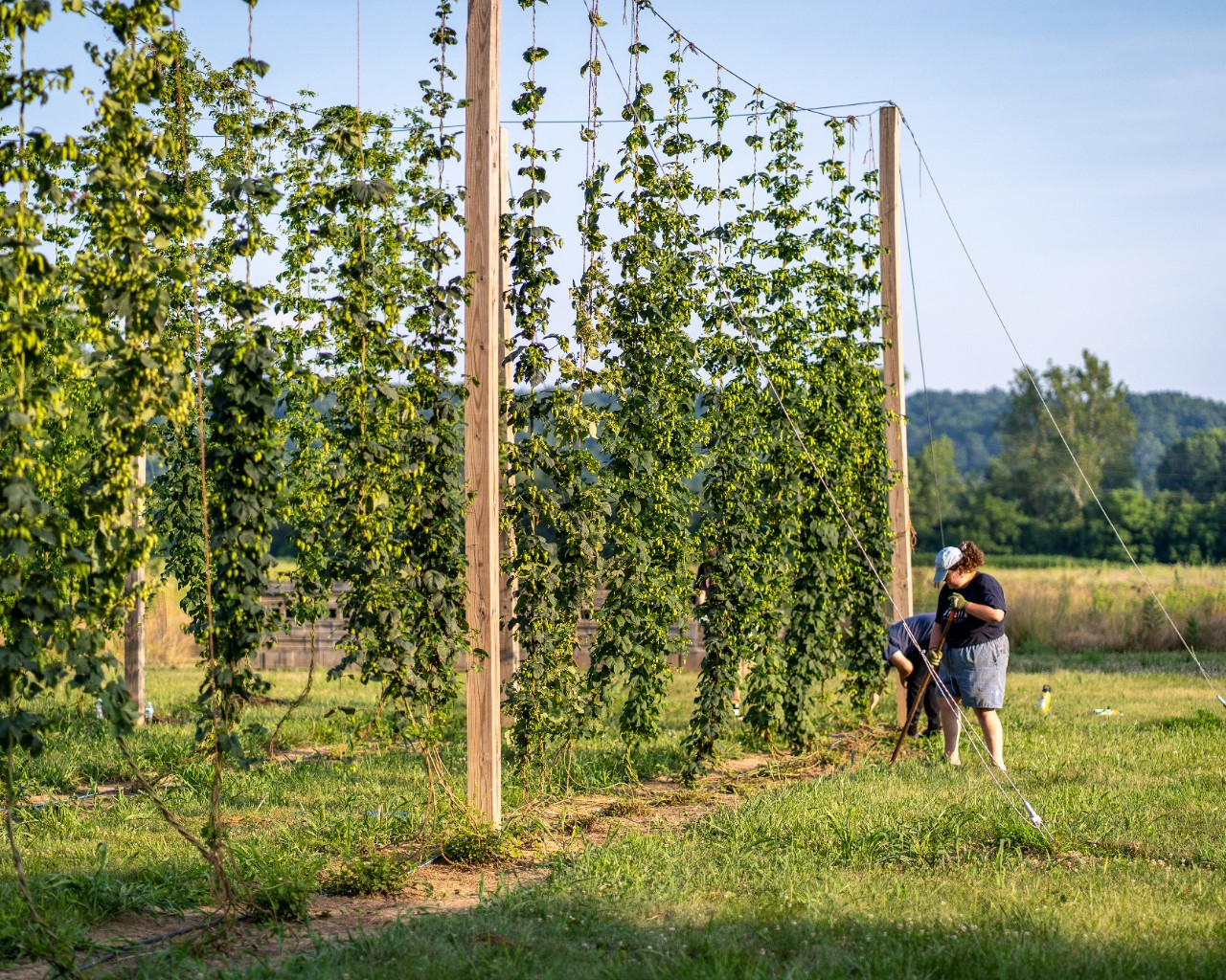 Professors Projects - Sustainability Initiative | University of Cincinnati